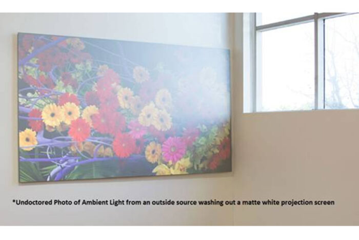 The Difference Between Matte White and ALR Screen material