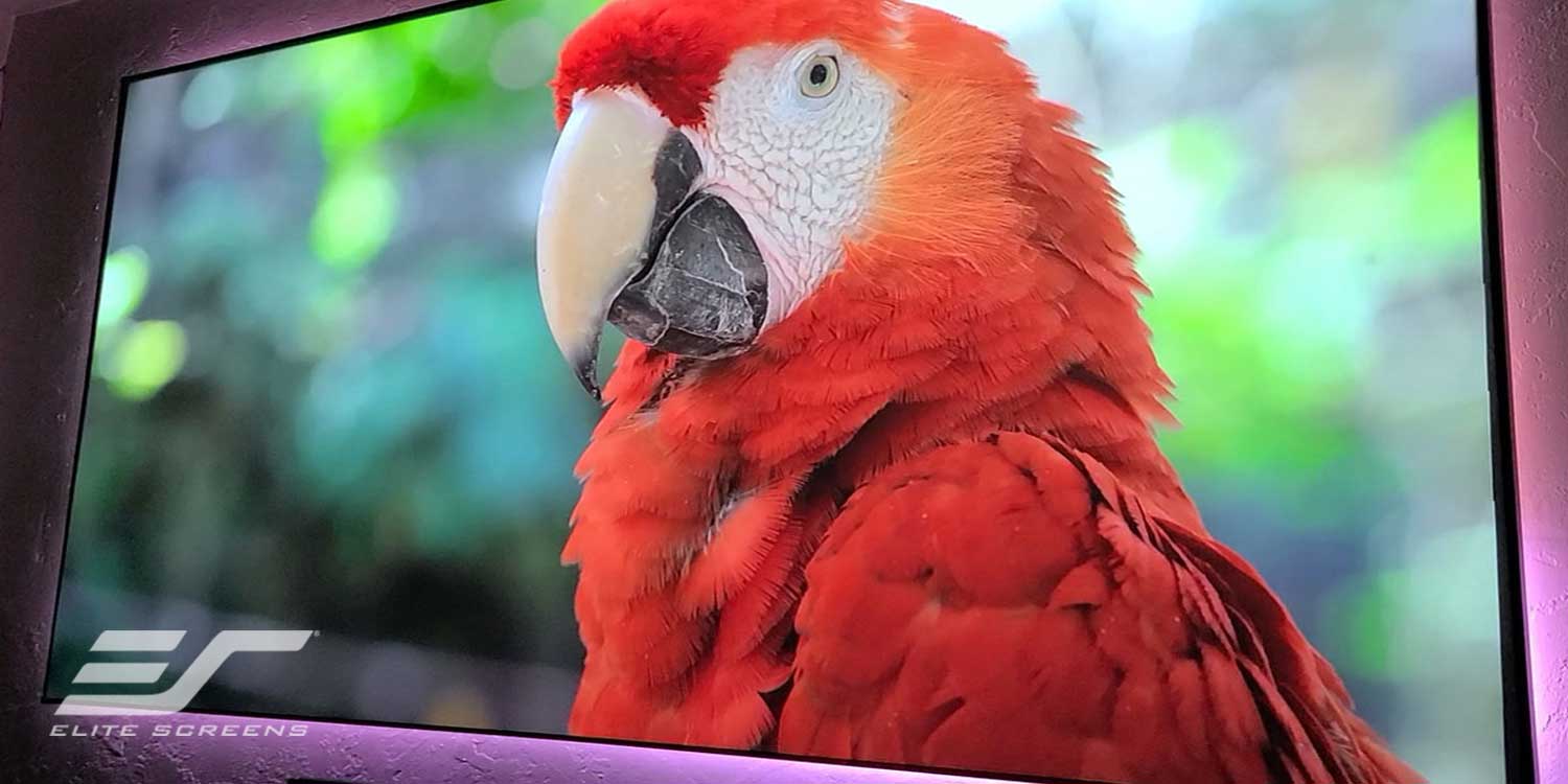 The Top 4 Best Roll-Up Projector Screens for Conference Rooms