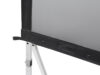 Light-On CLR® 2 Series | ALR Screens | Elite Screens