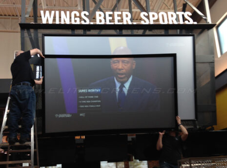 ezFrame CineGrey 5D® Series - Elite Screens