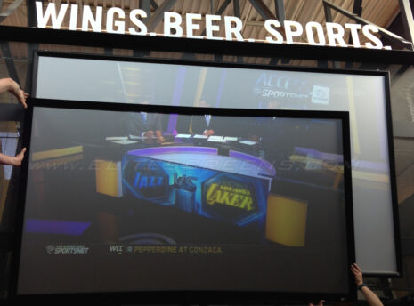 ezFrame CineGrey 5D® Series - Elite Screens