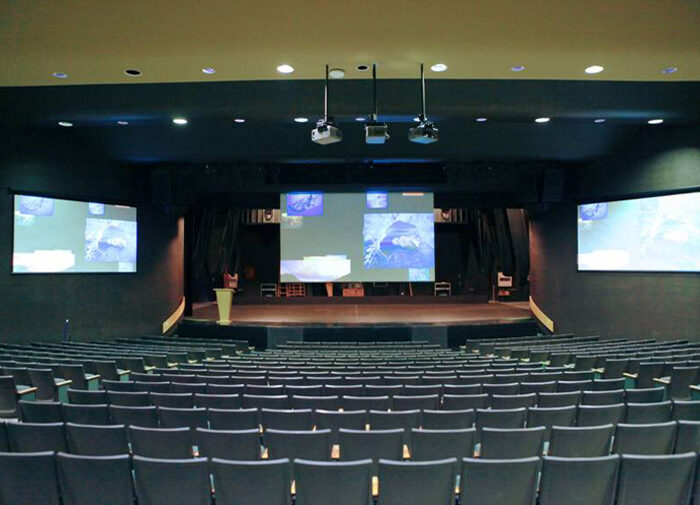 VMAX 2 Series - Electric Wall/Ceiling Screens